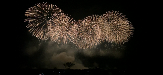 2023年8月 山形 酒田市 花火大会 鶴岡市 クラゲドリーム館 湯殿山神社 : TNのブログ